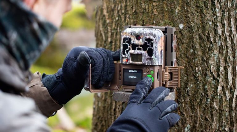 Wildkamera tarnen: 4 Tipps und Ideen für deinen Garten
