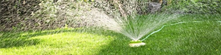 Gelbe Flecken im Rasen wieder loswerden: 6 Tipps und Tricks