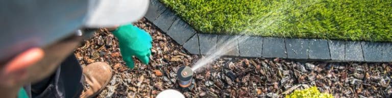 Gelbe Flecken im Rasen wieder loswerden: 6 Tipps und Tricks