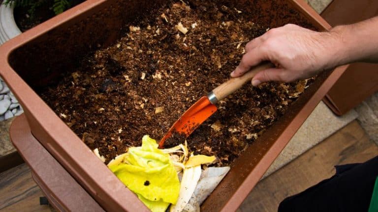 Kleiner Komposter Test: Die 7 Besten Mini Komposter 2023