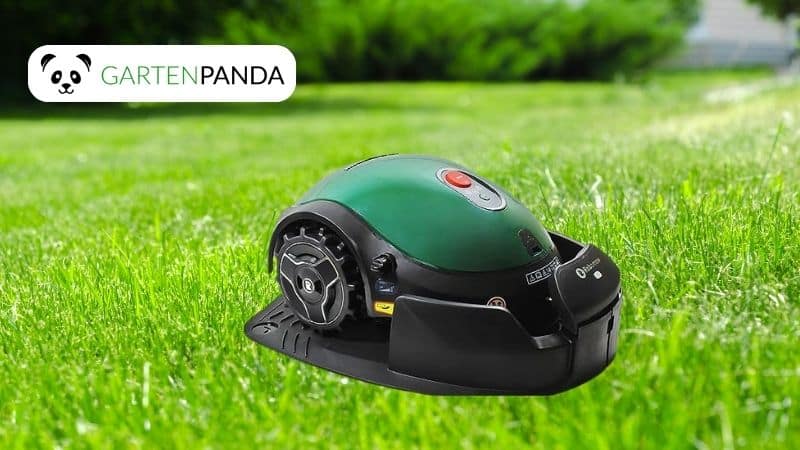 Robomow Rx20 Pro Test [2025]
